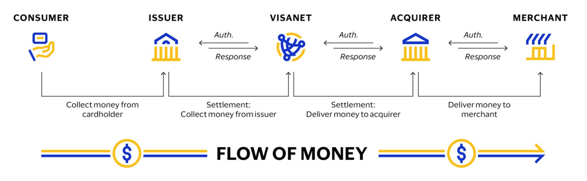 How Visa Makes Money and Why We Invested in It | one point five gen z
